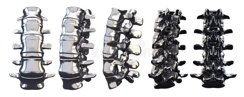 3d Afbeelding Van De Ruggenwervel Van De Menselijke Wervelkolom ...