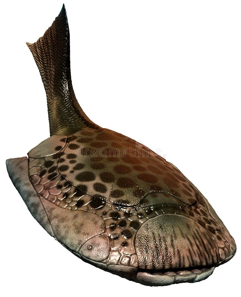 Devonian Era Stock Illustrations – 236 Devonian Era Stock Illustrations ...