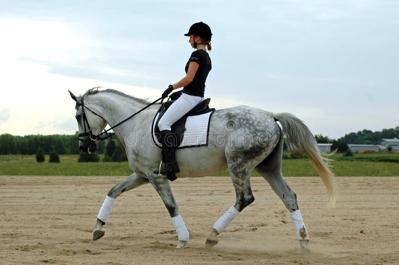 Dressage stock photo. Image of people, training, action - 5051464