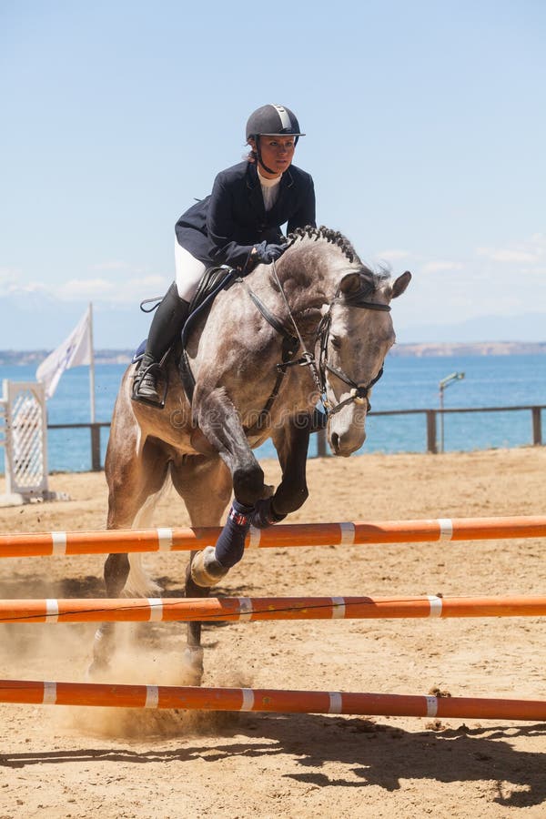 Dressage competitions editorial stock image. Image of field - 38159524