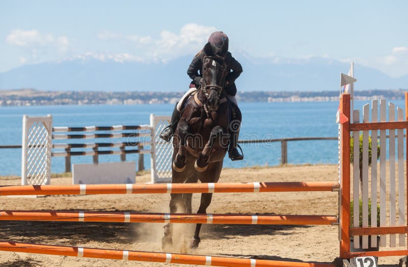 Dressage competitions stock photo. Image of field, horseback - 38161022