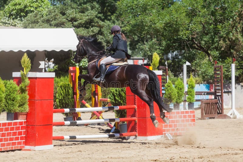 Dressage competitions stock image. Image of jump, event - 38161145