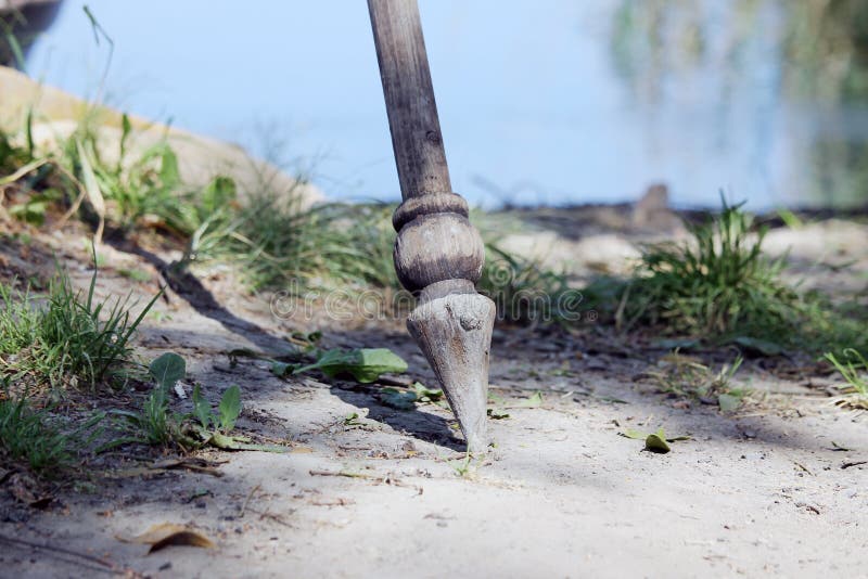 Dzida Zdjęcia Stock - Pobierz 20,302 Zdjęcia Royalty Free