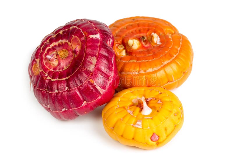 Drie bollen van gladiolen stock foto. Image of spruit - 30921052