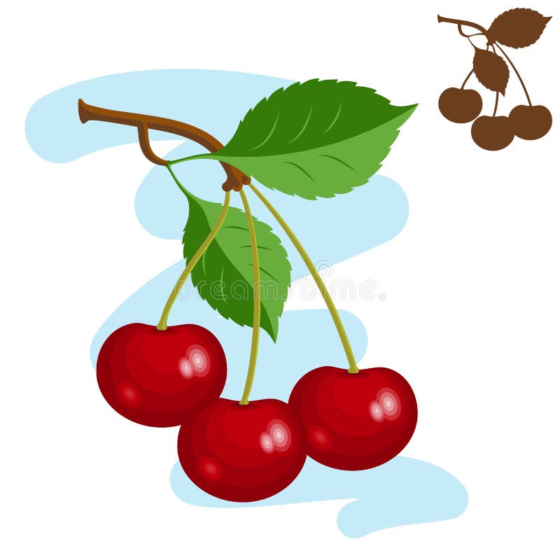 Drie kersen. vector illustratie. Illustration of flora - 22305548