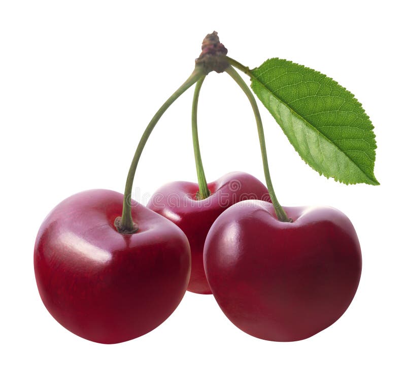 Drie Wilde Die Kersen Op Witte Achtergrond Worden Geïsoleerd Stock ...