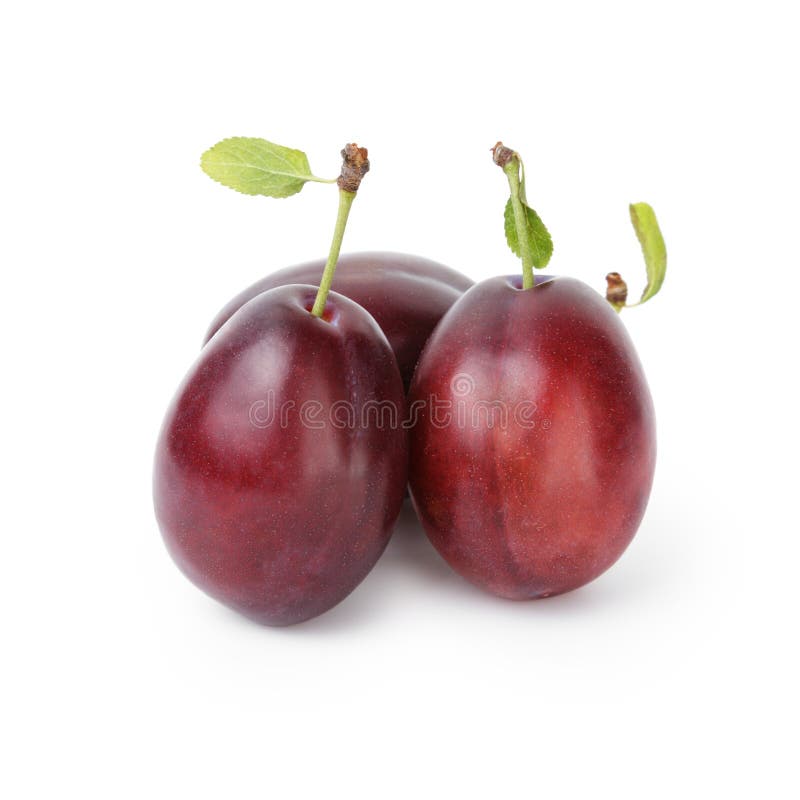 Pruim stock foto. Image of vrucht, blad, voedsel, vers - 21536348