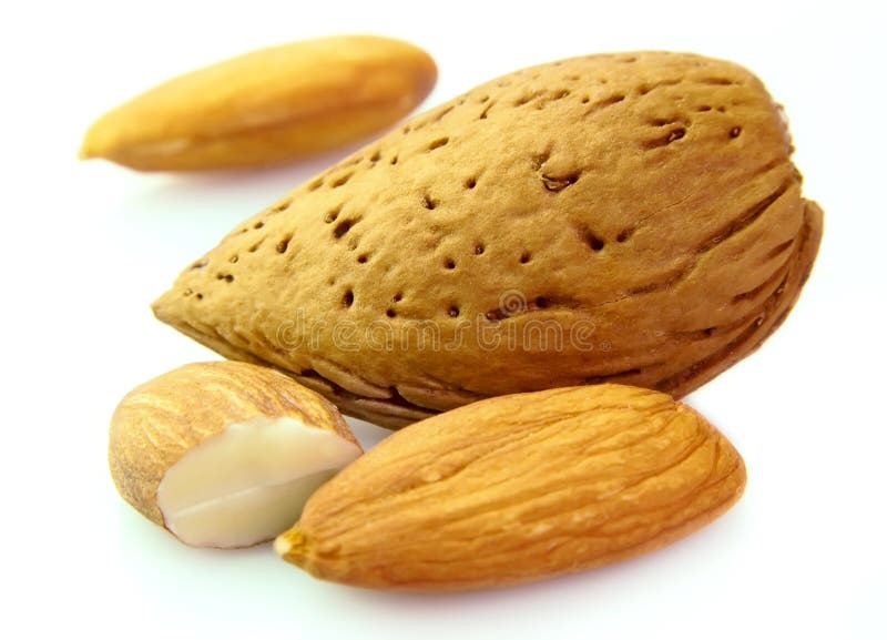 Dried almond stock photo. Image of nutshell, isolated - 18285542