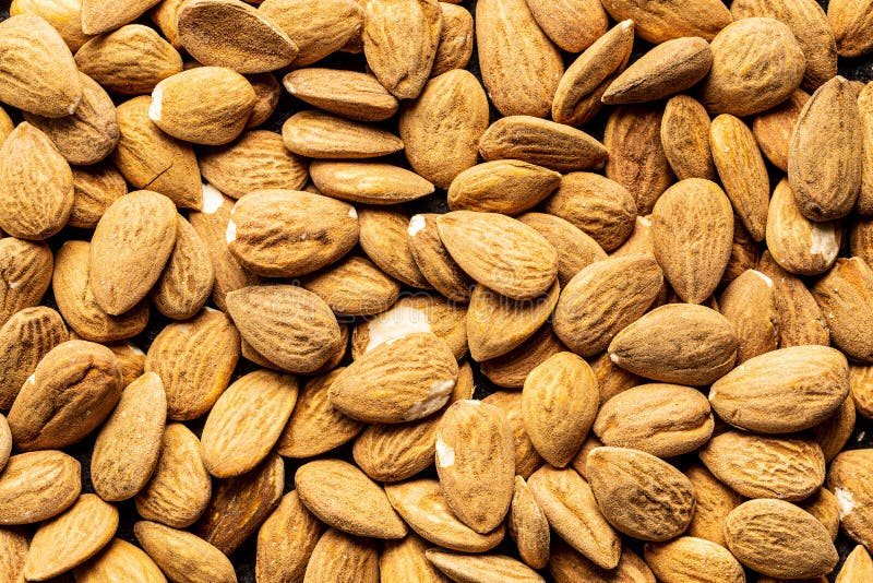 Dried almond nuts stock image. Image of diet, group - 175582273