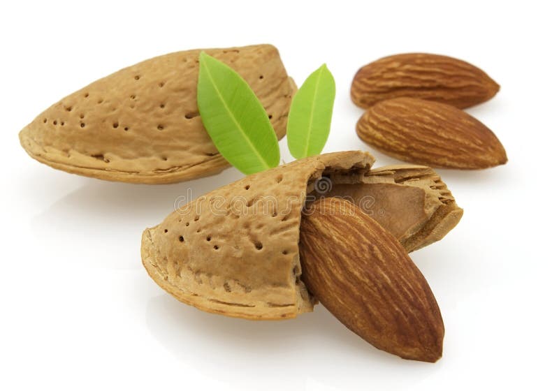 Almond stock image. Image of close, ates, background - 22541017