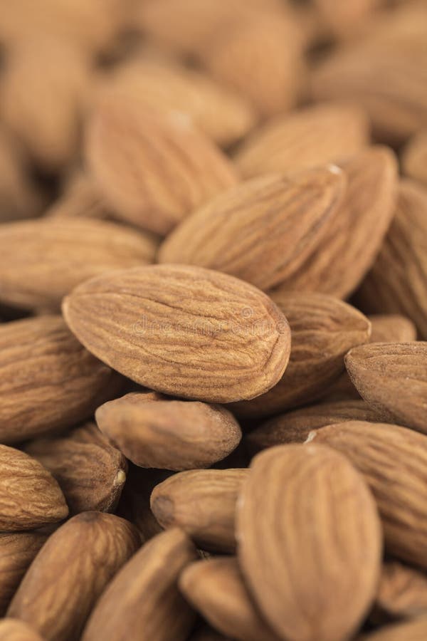 Dried Almonds in Bulk, Close-up on the Grain Stock Image - Image of ...