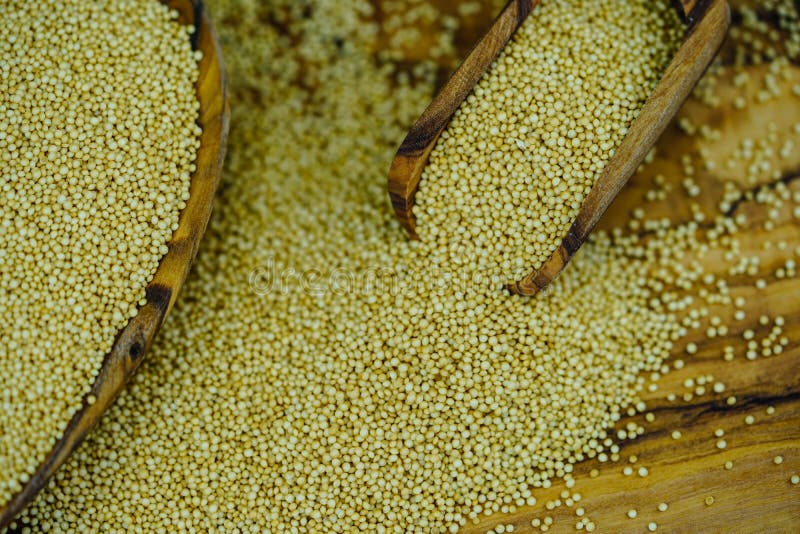 Dried amaranth seed stock image. Image of dried, grains - 215345069