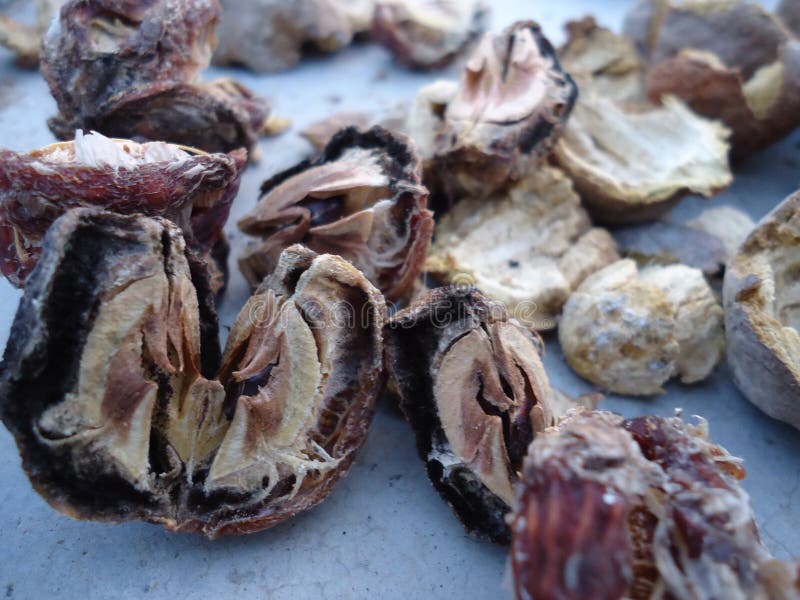 Dried amla stock image. Image of used, powder, amla, future - 46178121