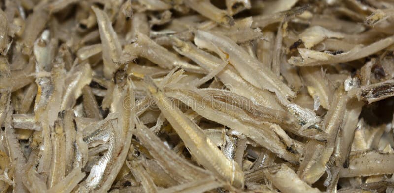 Dried japanese anchovies stock photo. Image of dried - 22582104