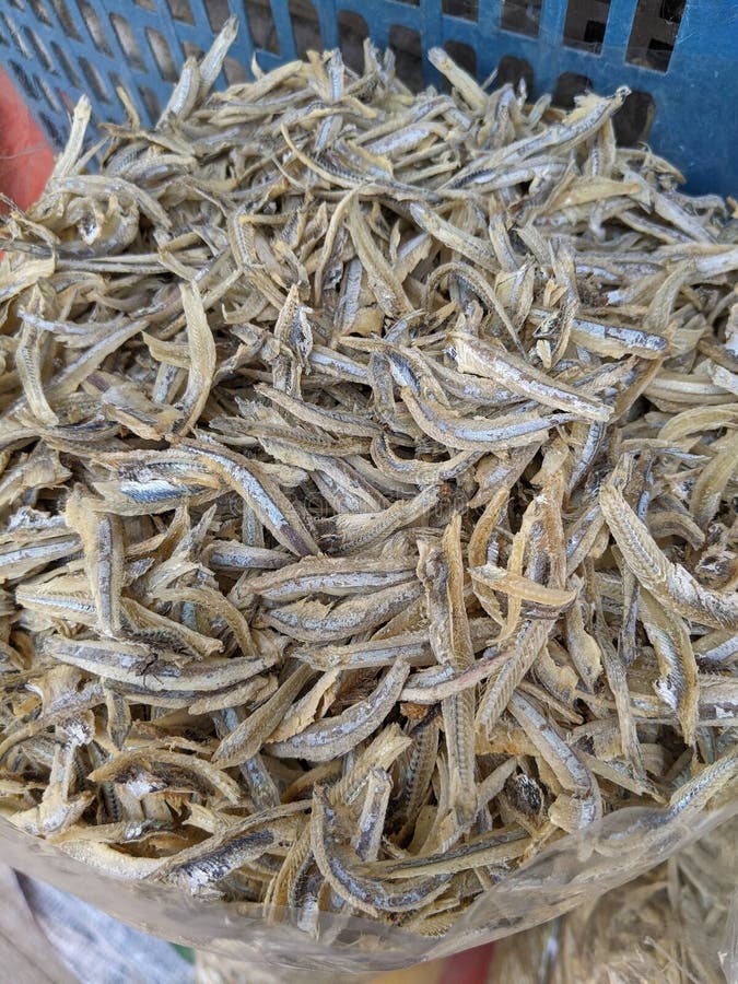 Dried Fish and Anchovy Sold at the Shop Stock Photo - Image of dried ...