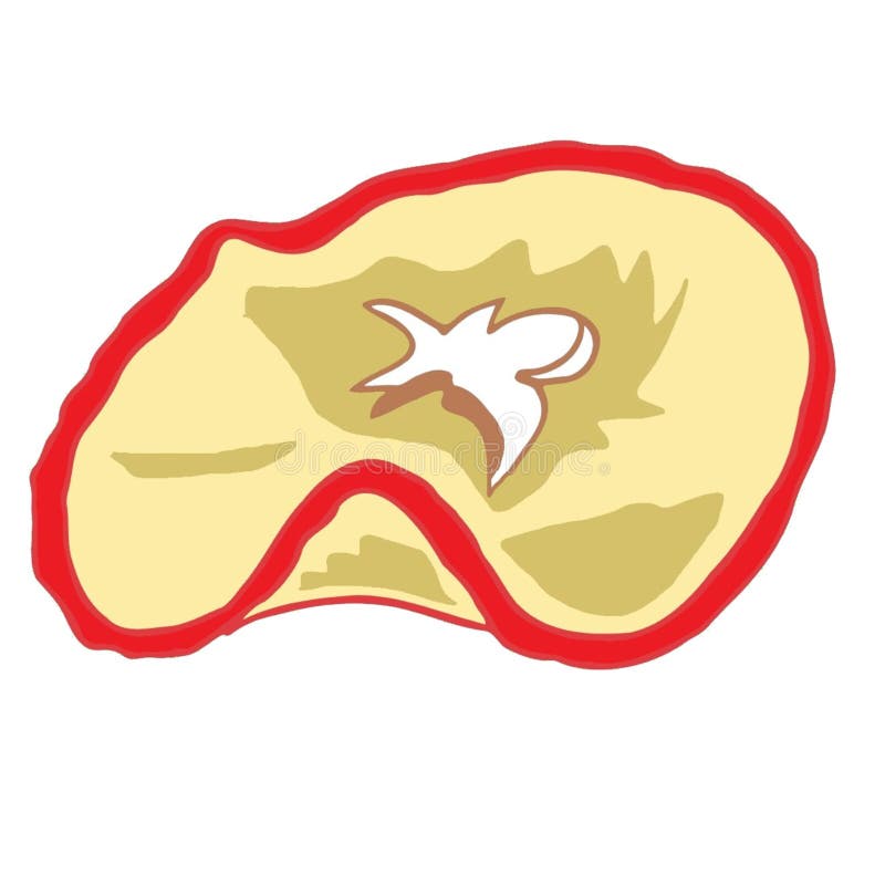 Dried apple - 1 stock illustration. Illustration of line - 364584080