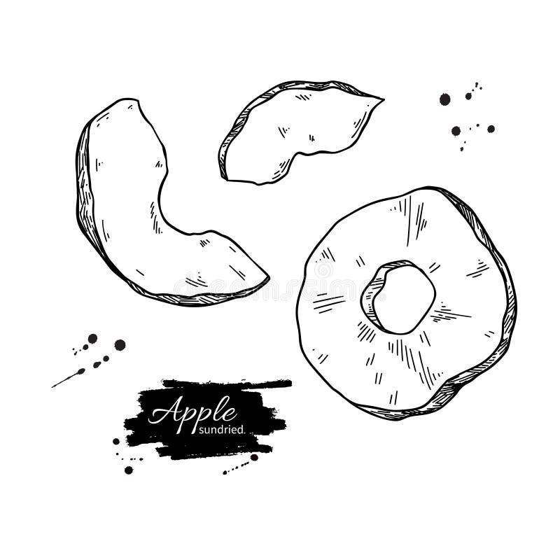 Dried Apple Stock Illustrations – 2,088 Dried Apple Stock Illustrations ...