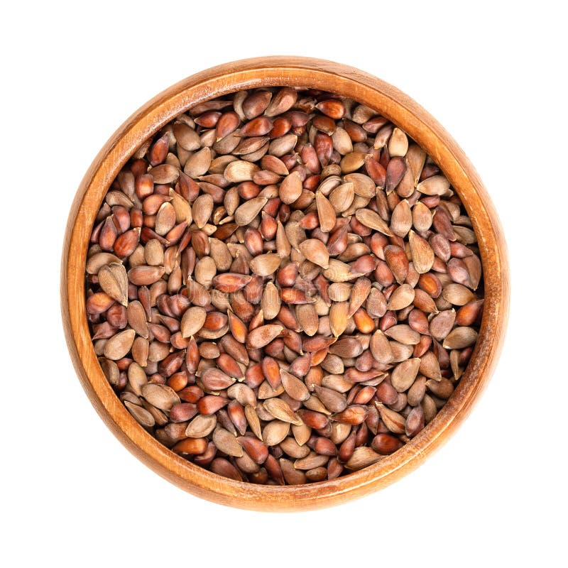 Dried Apple Seeds, Brown Seeds of Apples, in a Wooden Bowl Stock Photo ...