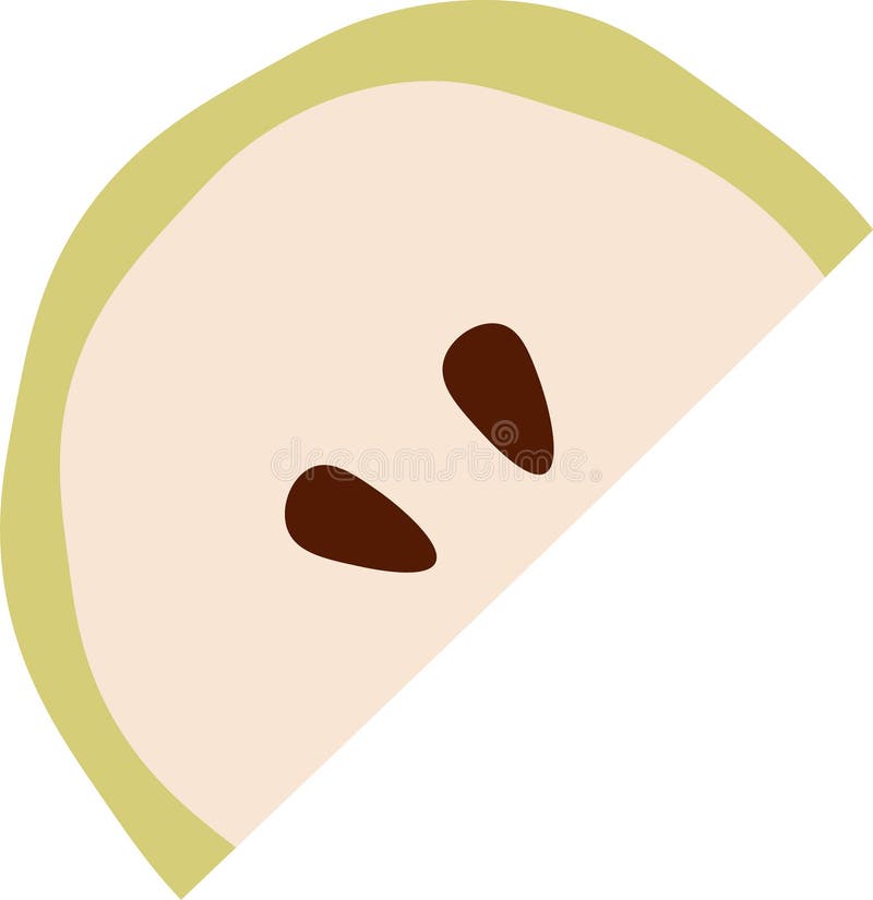 Dried Apple Slice stock vector. Illustration of apple - 309781937