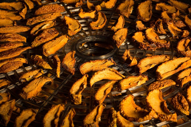 Dried Apples on a Round Tray Stock Image - Image of modern, cooking ...
