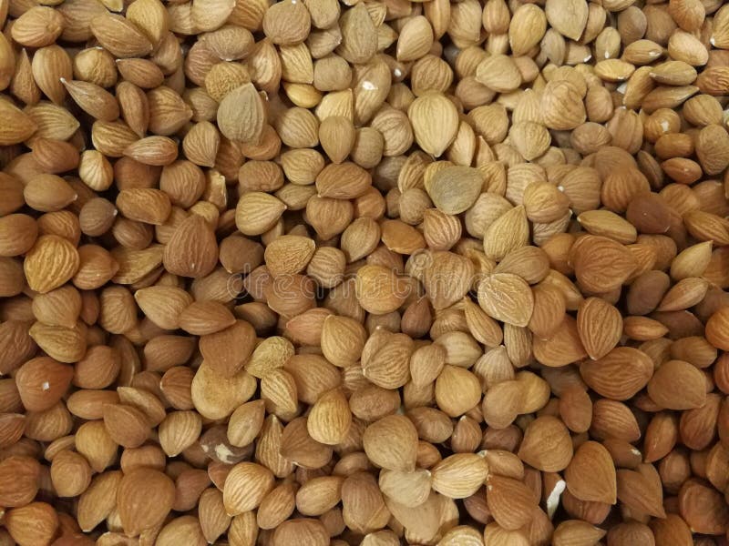 Apricot Seed Oil Next To Fresh Apricots On A Brown Wooden Background ...