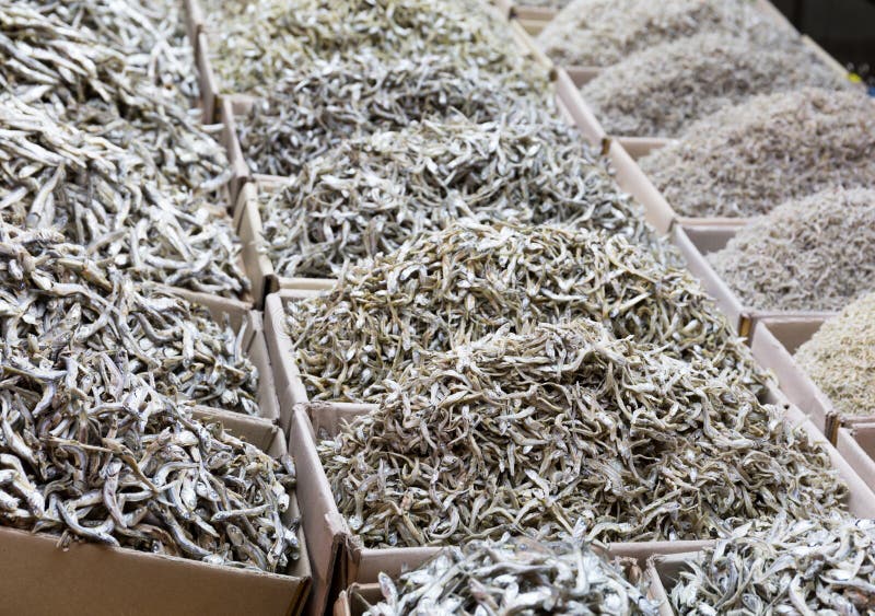 Japanese Assorted Dried Fish Stock Photos - Free & Royalty-Free Stock ...