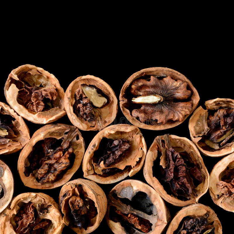 Bad walnuts close-up stock photo. Image of unhealthy - 246454900