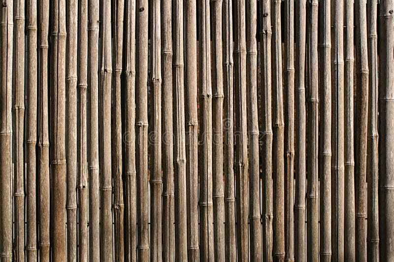 Dried Bamboo Background stock photo. Image of environment - 39962960