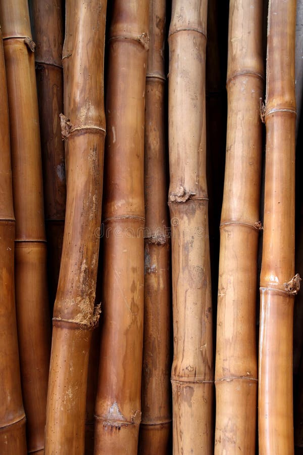 Bamboo wind chimes stock photo. Image of oriental, bamboo - 27025448