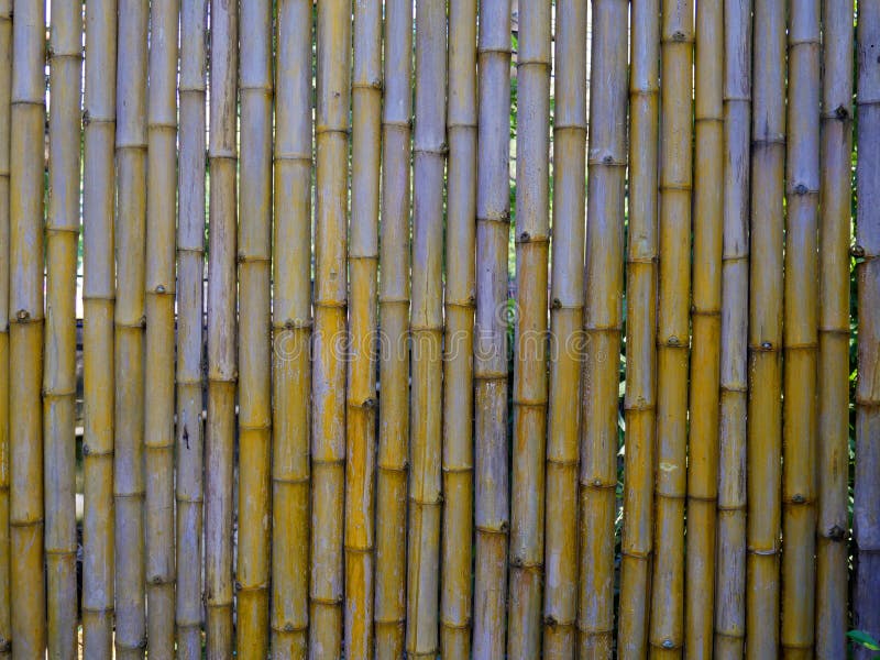 Dried Bamboo Fence Texture Background. Stock Image - Image of beautiful ...