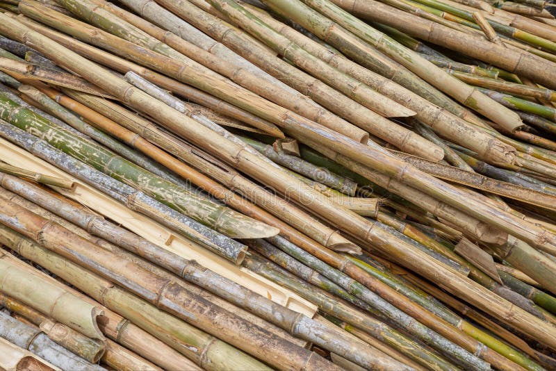 Bamboo Material Stack Stock Photos - Download 537 Royalty Free Photos