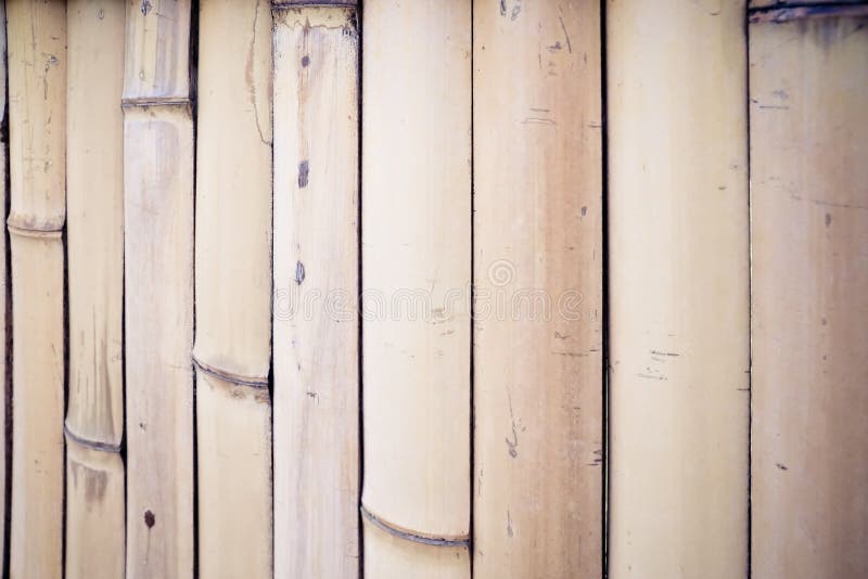 The dried bamboo wall stock photo. Image of dried, frame - 52533534