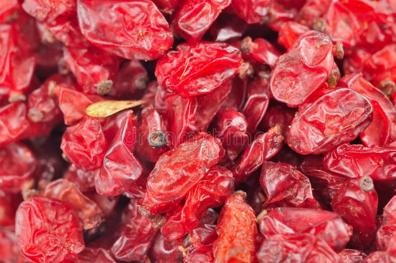 Dried Barberry Berries stock image. Image of antioxidant - 23257719