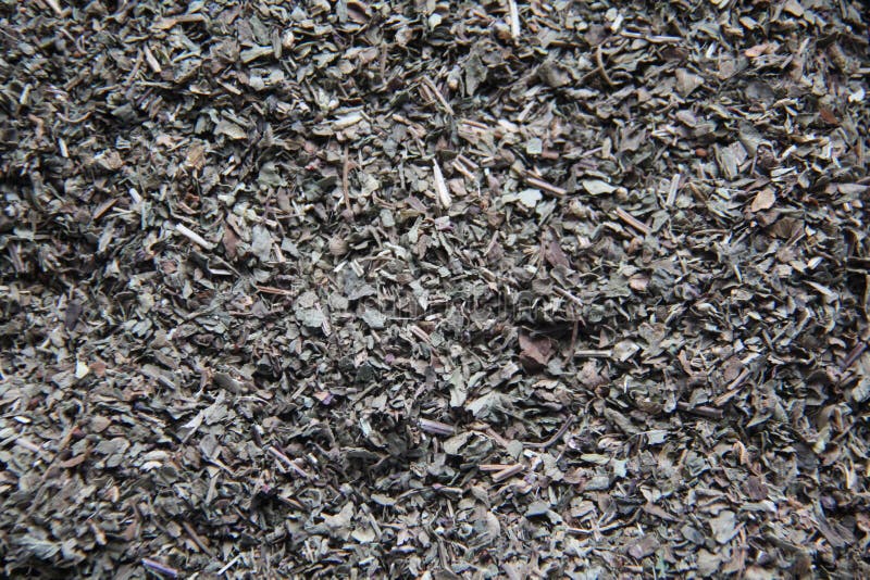 Dried basil top view stock photo. Image of condimento - 233015234