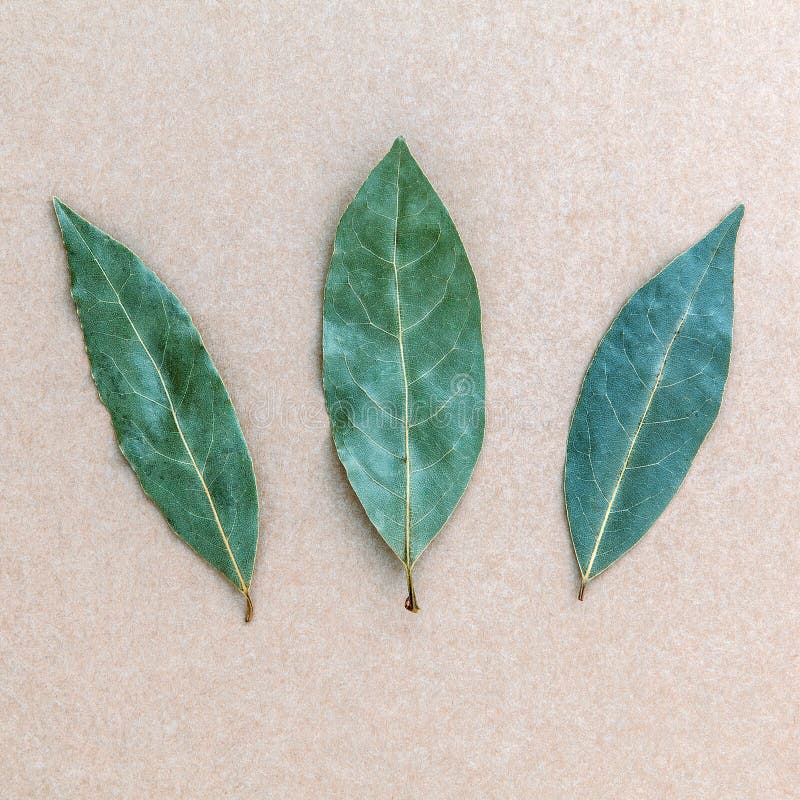 Dried Bay Leaf on the Brown Background, 3 Bay Leaves Background. Stock ...