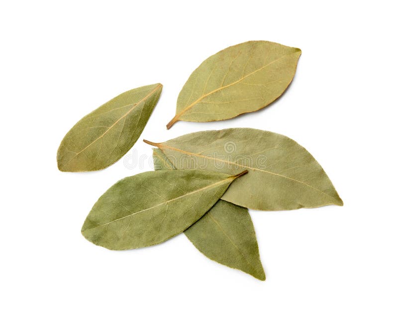 Dried bay leaf stock image. Image of group, close, aromatic - 148036335