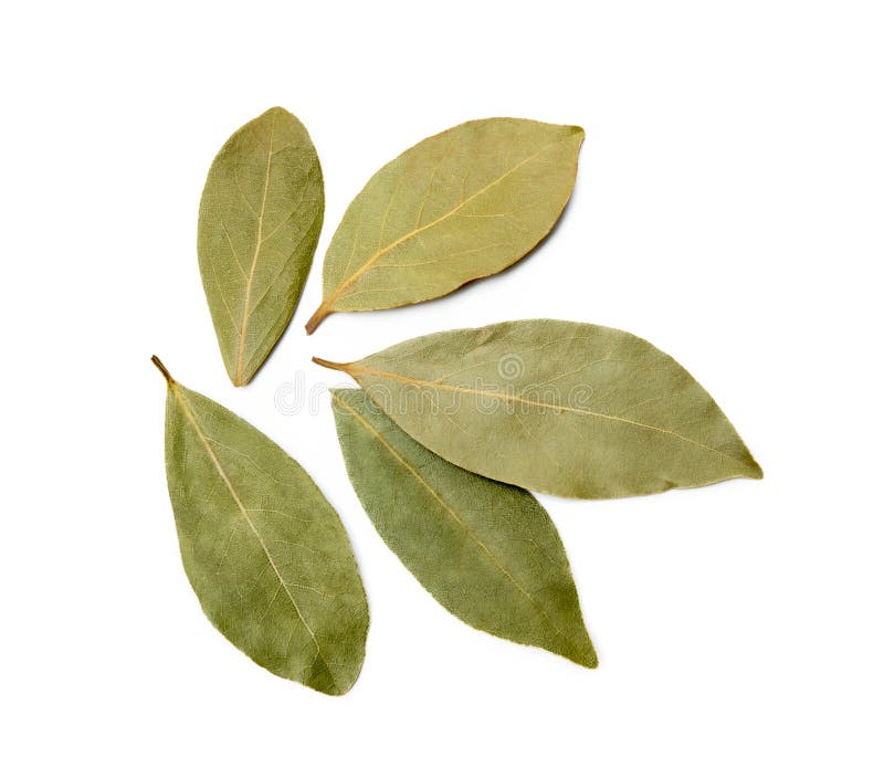 Dried bay leaf stock image. Image of flavor, cuisine - 148352453