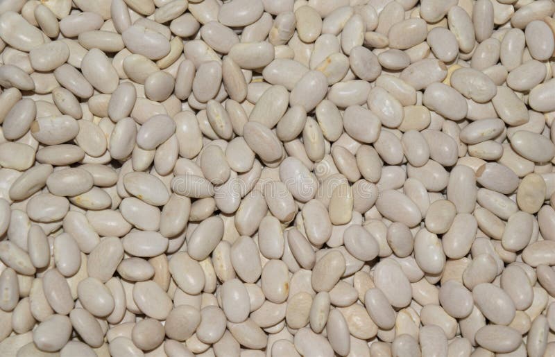 Dried beans, background stock photo. Image of featured - 87532916