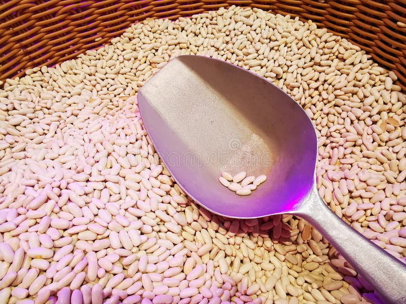 Dried beans in a basket stock photo. Image of legume - 261566478