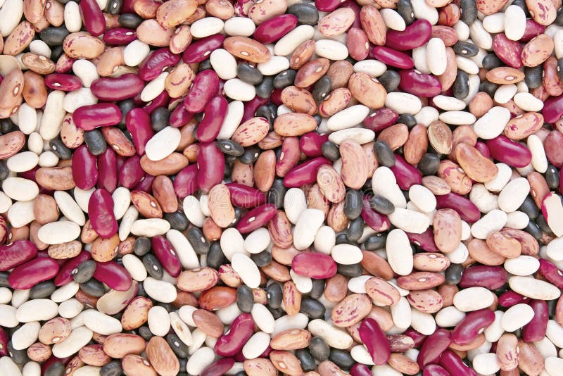 Dried beans stock image. Image of varieties, vulgaris - 39595457