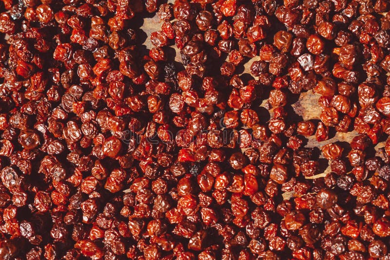 Dried Berries Dry in the Sun Stock Image - Image of food, bush: 140348539