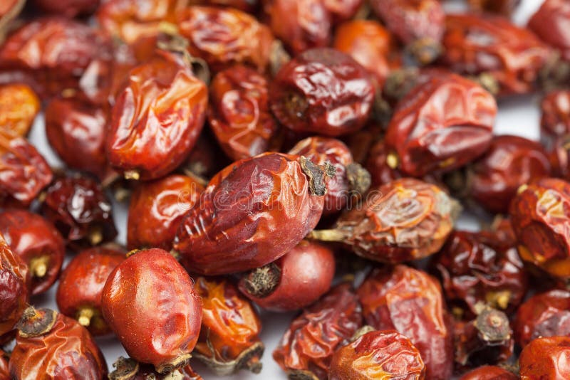 Dried berries rose hips stock image. Image of berries - 18585479
