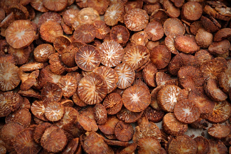 Dried Betel Nut or Areca Nut. Stock Photo - Image of brown, background ...