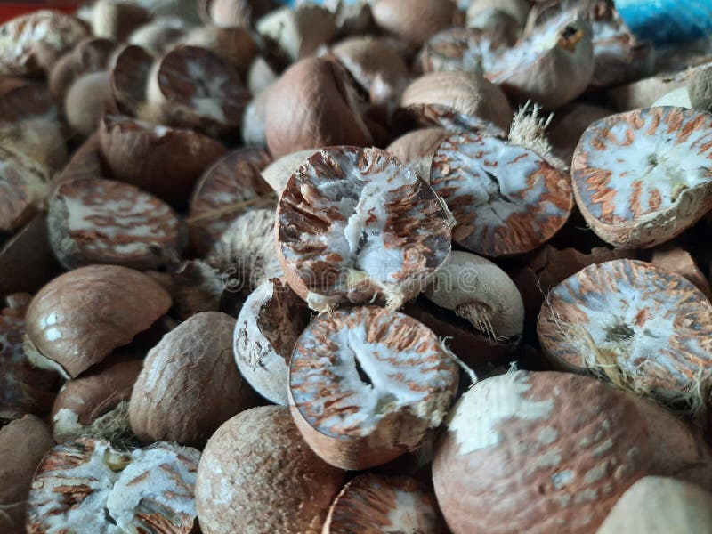 Split Betel Nut Stock Photos - Free & Royalty-Free Stock Photos from ...