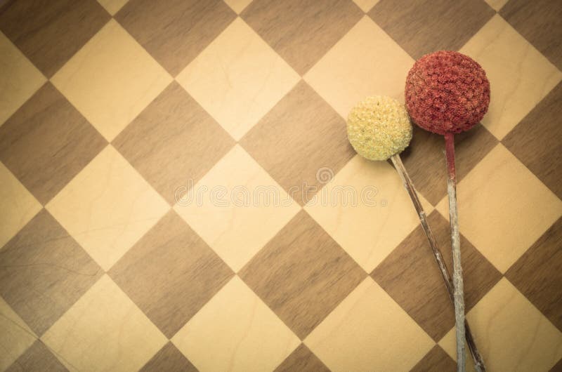 Billy Buttons Stock Illustrations – 101 Billy Buttons Stock ...