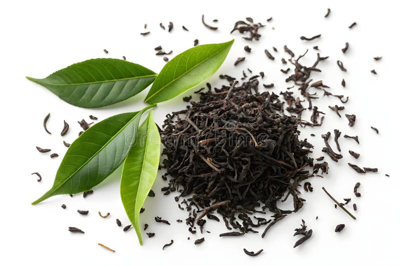 Dried Black Tea Leaves Isolated on Transparent and White Background ...