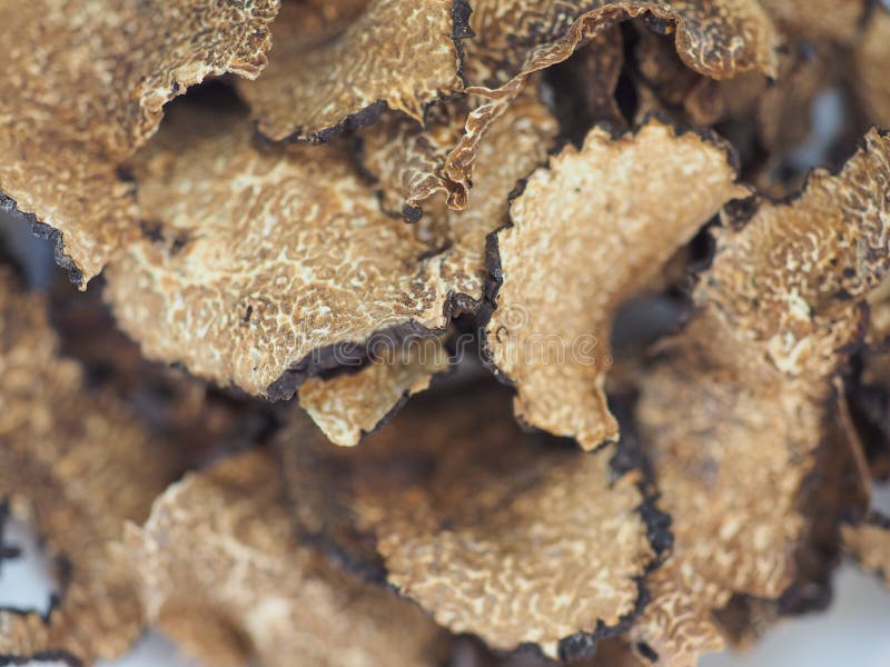 Dried black truffles stock photo. Image of diet, summer - 135699802