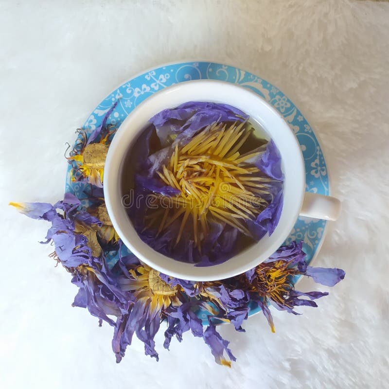 Dried Blue Lotus Flower - Nhympaea Caerulea Stock Photo - Image of bead ...