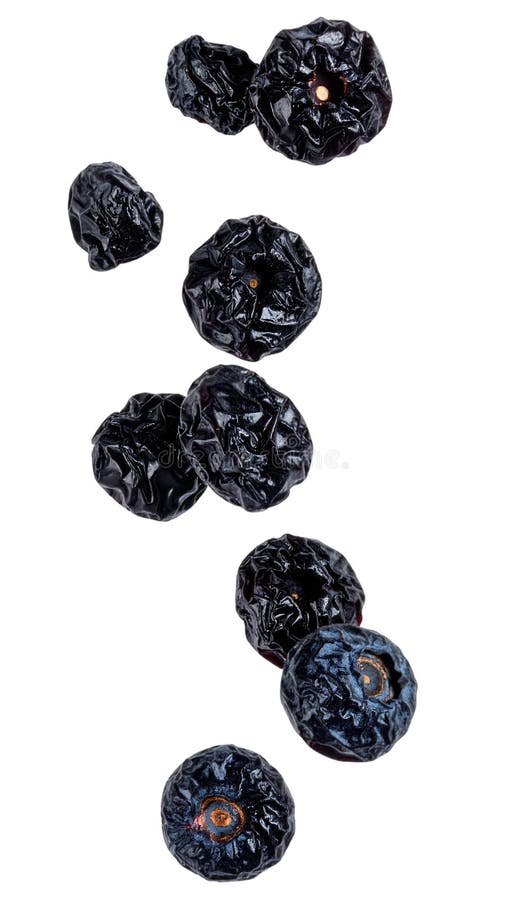 Dried Blueberries Falling on Transparent Background Stock Image - Image ...