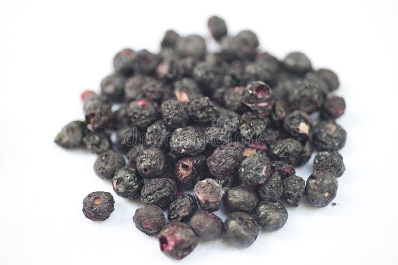 Dried Blueberries, Myrtilli Fructus Stock Photo - Image of vaccinium ...